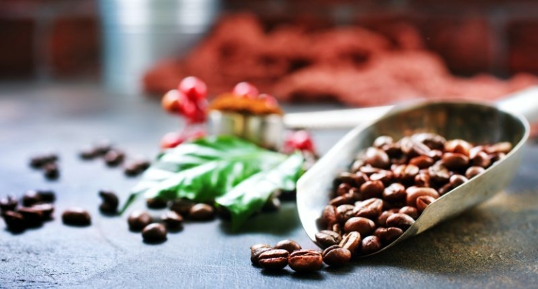 Welche Sorten Bohnenkaffee gibt es? » Kaffeepioniere.de